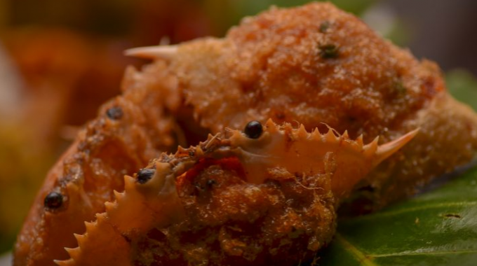 Ketam Isi, Makanan Khas di Belitung yang Wajib Kalian Makan – Tomi Purba