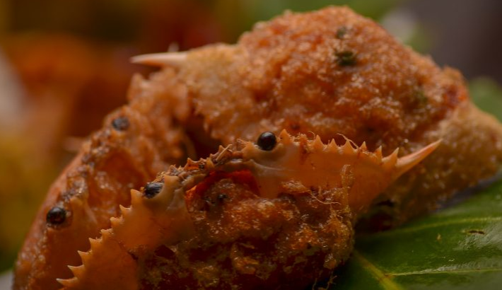 Ketam Isi, Makanan Khas di Belitung yang Wajib Kalian Makan – Tomi Purba